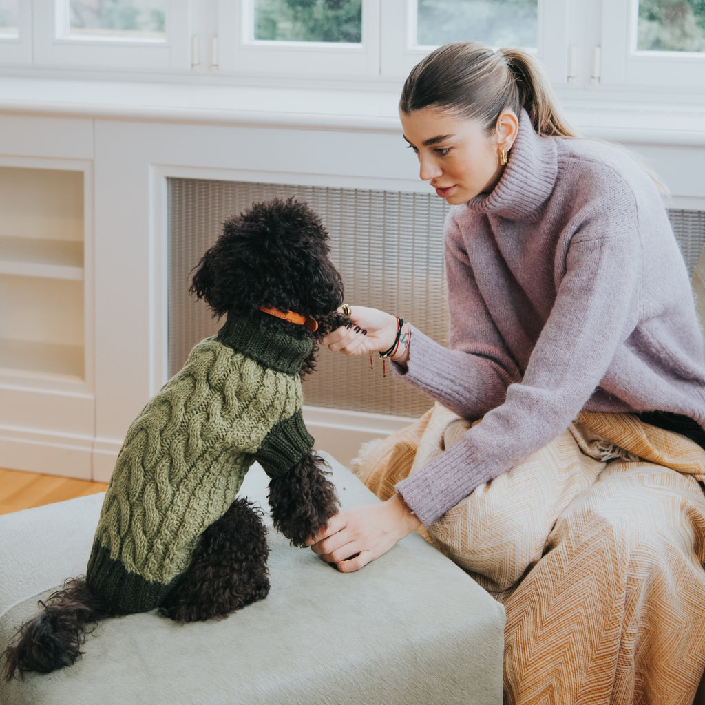 How to better understand your dog? – HIGH PAW